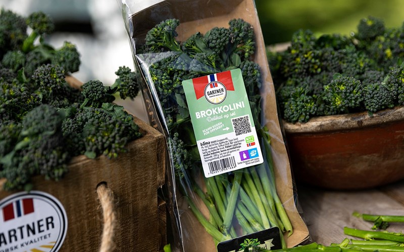 Grillet brokkolini med parmesan og sitron | Bama