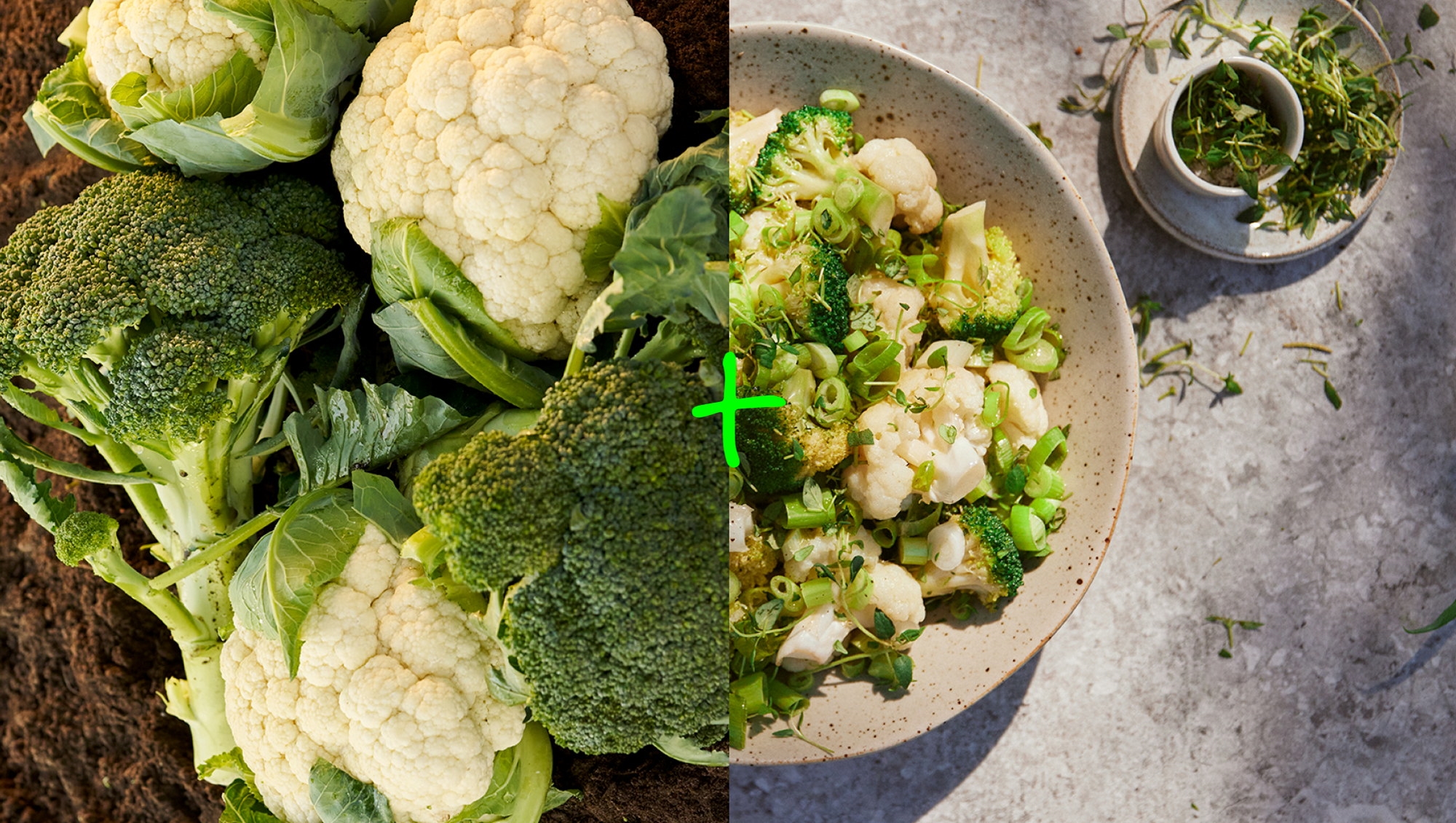 Norge på sitt beste | Bama