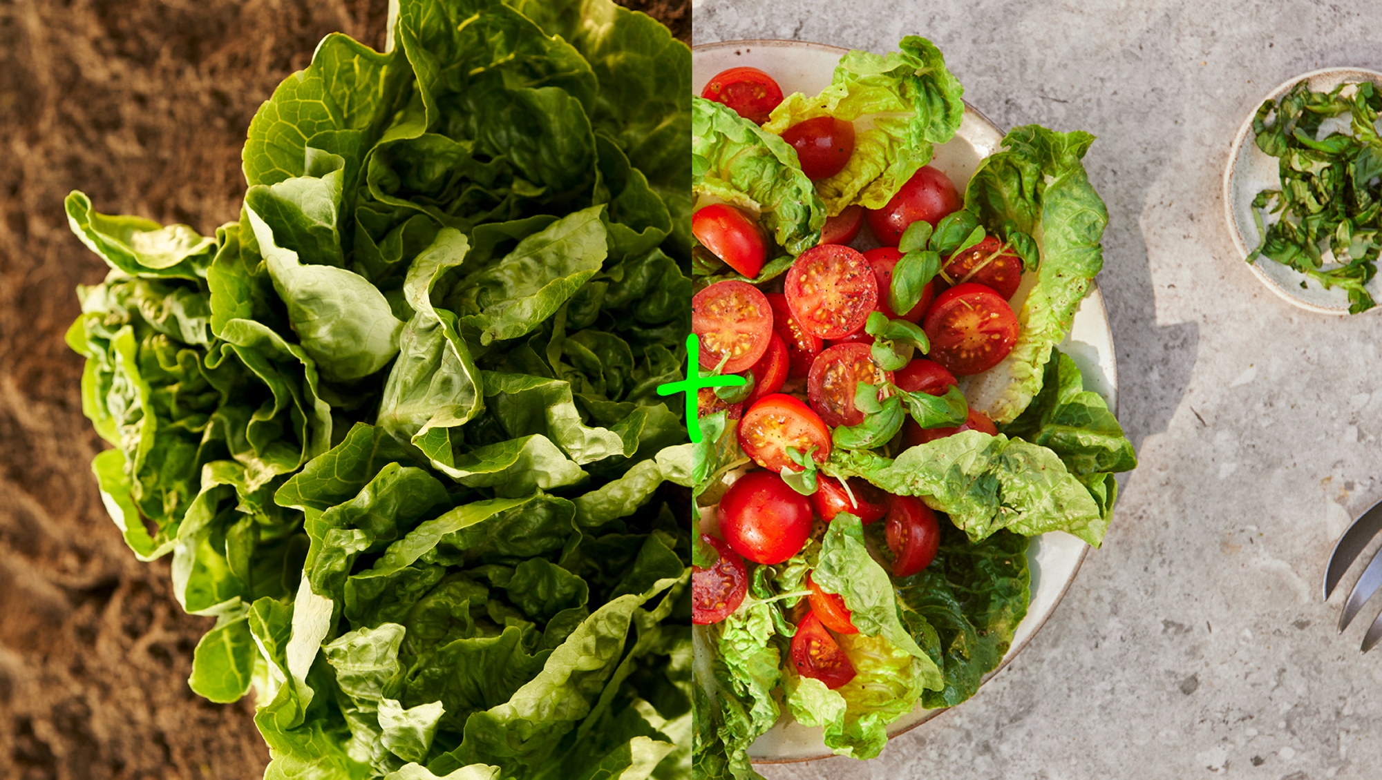 Norge på sitt beste | Bama