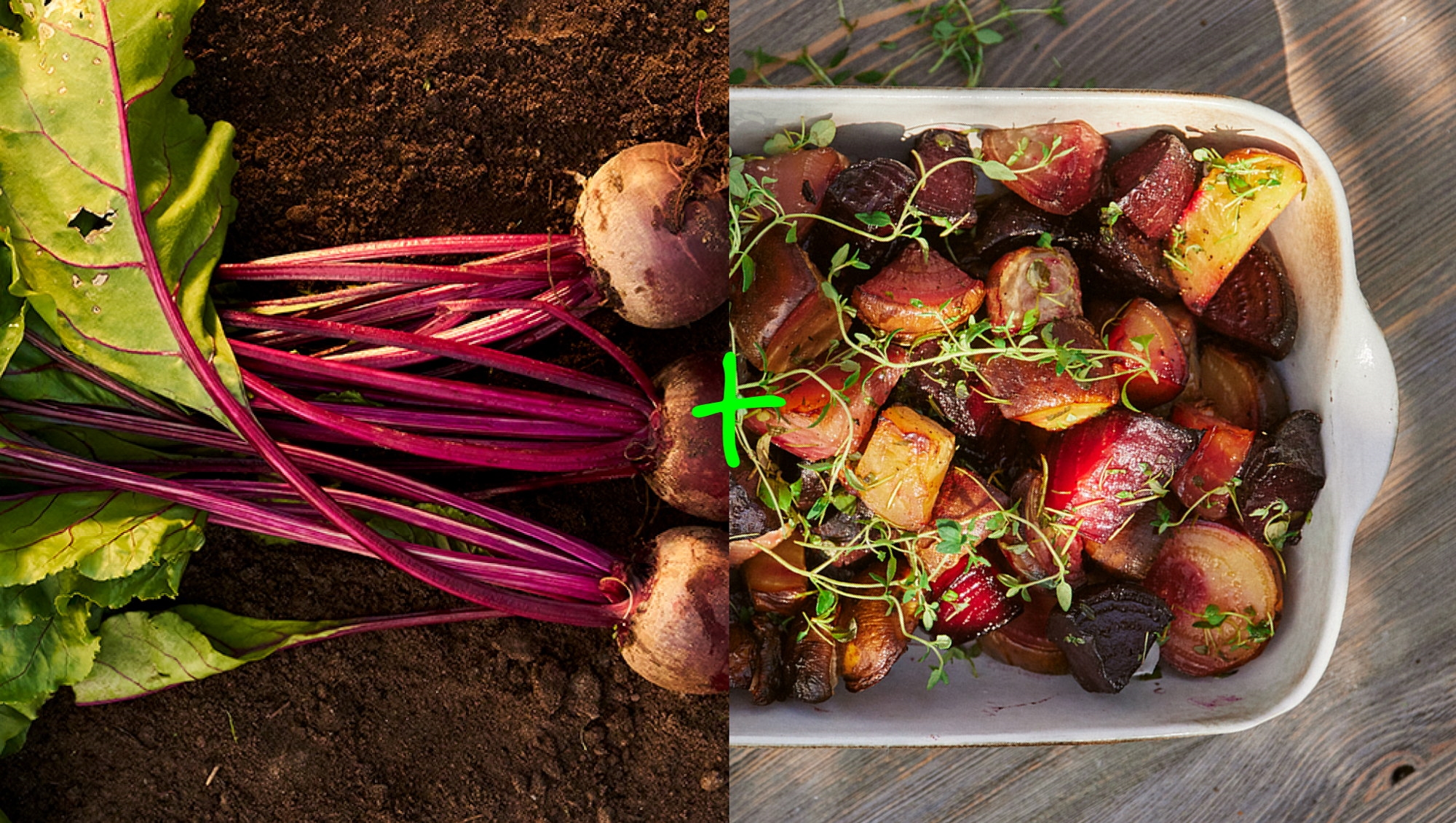 Norge på sitt beste | Bama